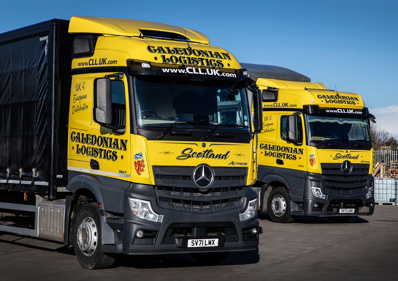 A lot of Actros: Caledonian Logistics invests in 35 trucks - Trucking