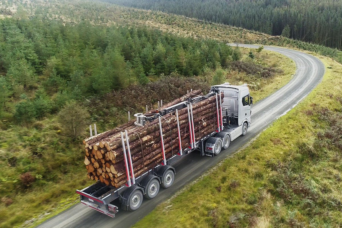 Timber haulage boost for Scotland - Trucking
