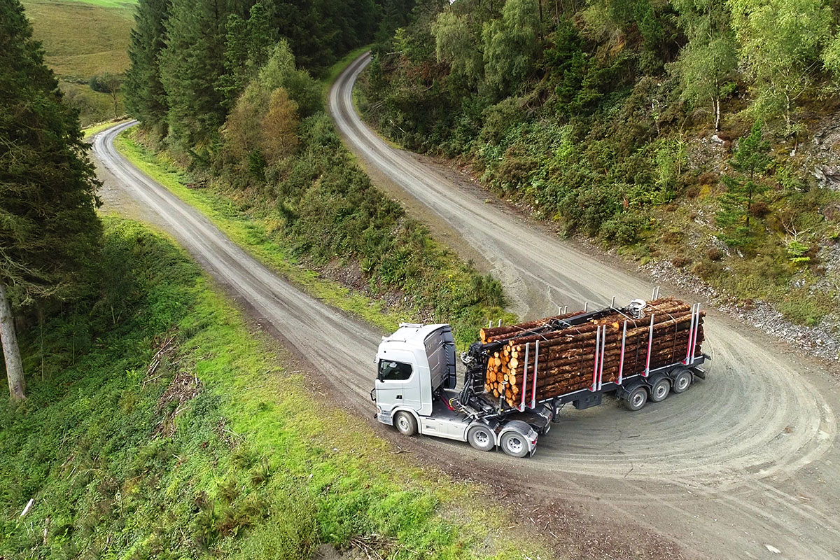 Timber haulage boost for Scotland - Trucking